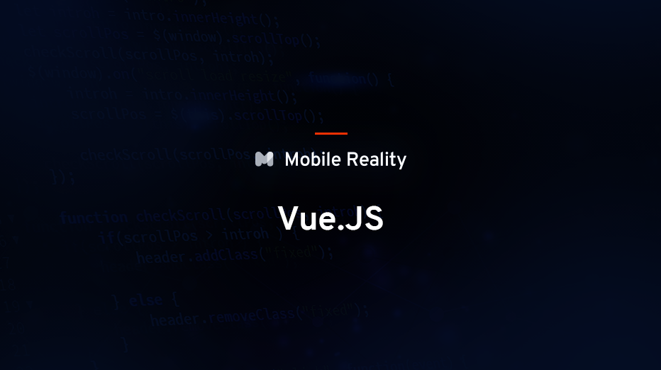 VueJS Development Services